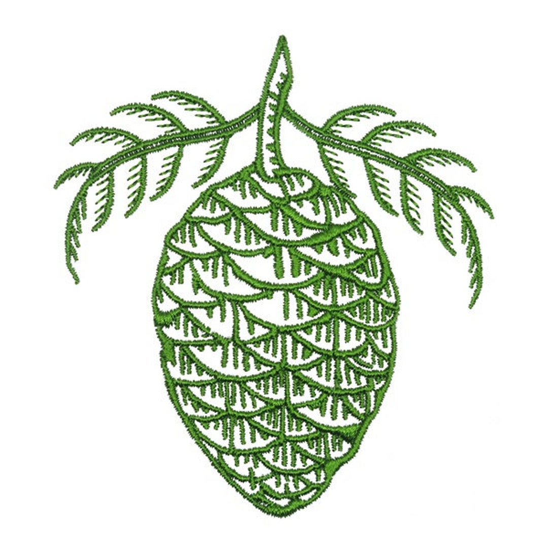 Pine Cone Embroidery Design Instant Download PES DST - Etsy
