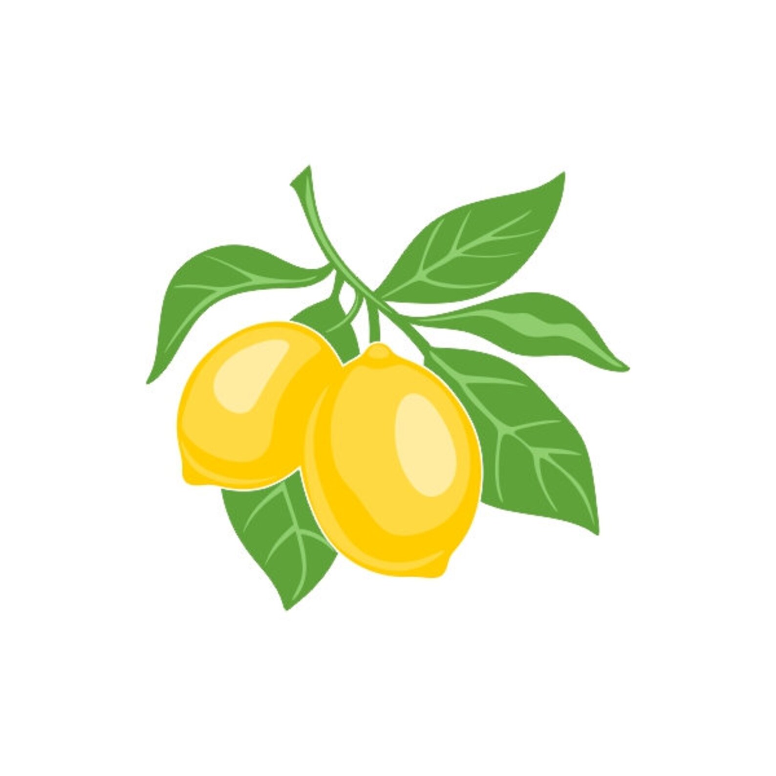 Fruit Lemons Branch Cuttable Design SVG PNG DXF & Eps Designs | Etsy