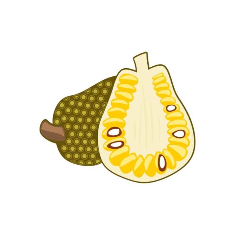 Jackfruit Tropical Fruit Cuttable Design SVG PNG DXF & Eps - Etsy
