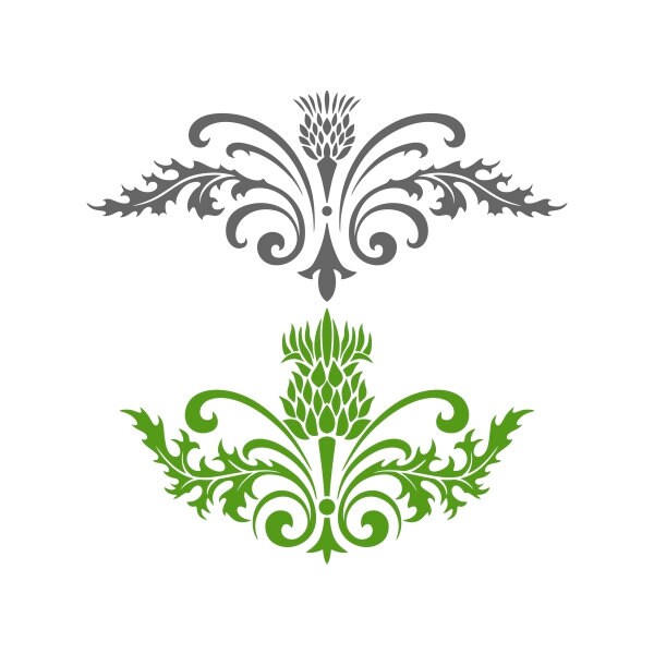 Thistle Svg - Etsy