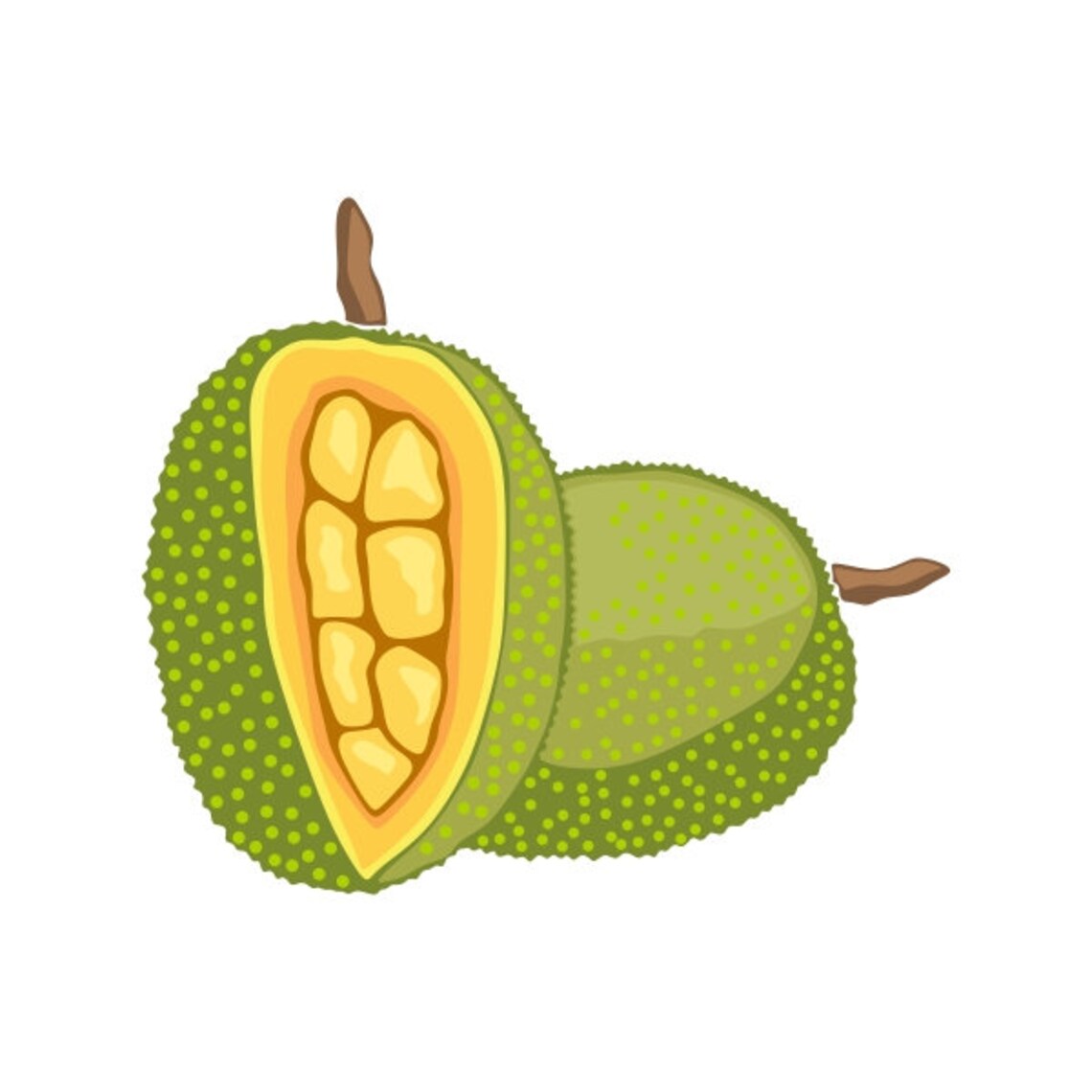 Jackfruit Tropical Fruit Cuttable Design SVG PNG DXF & Eps - Etsy
