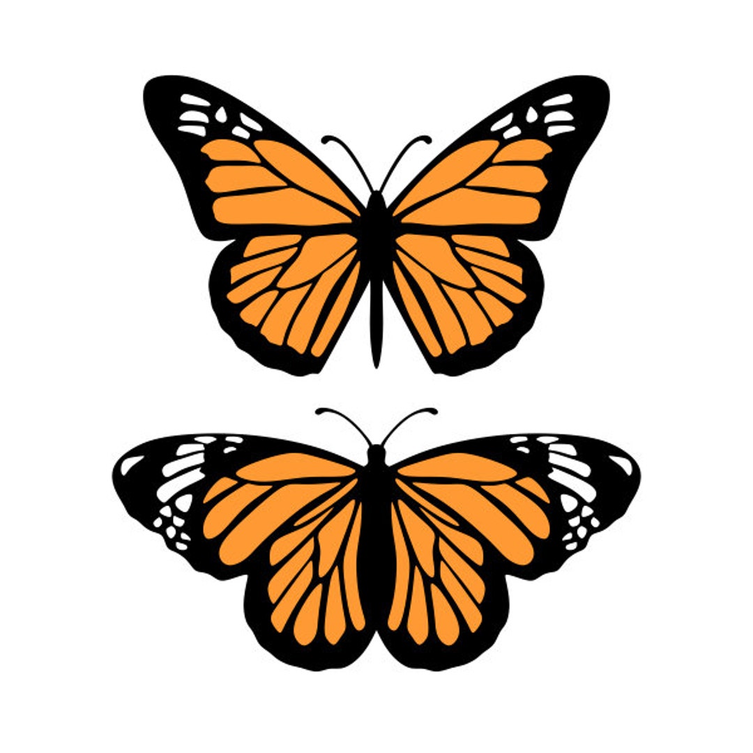 Monarch Butterfly Cuttable Design SVG PNG DXF & Eps Designs Cricut ...