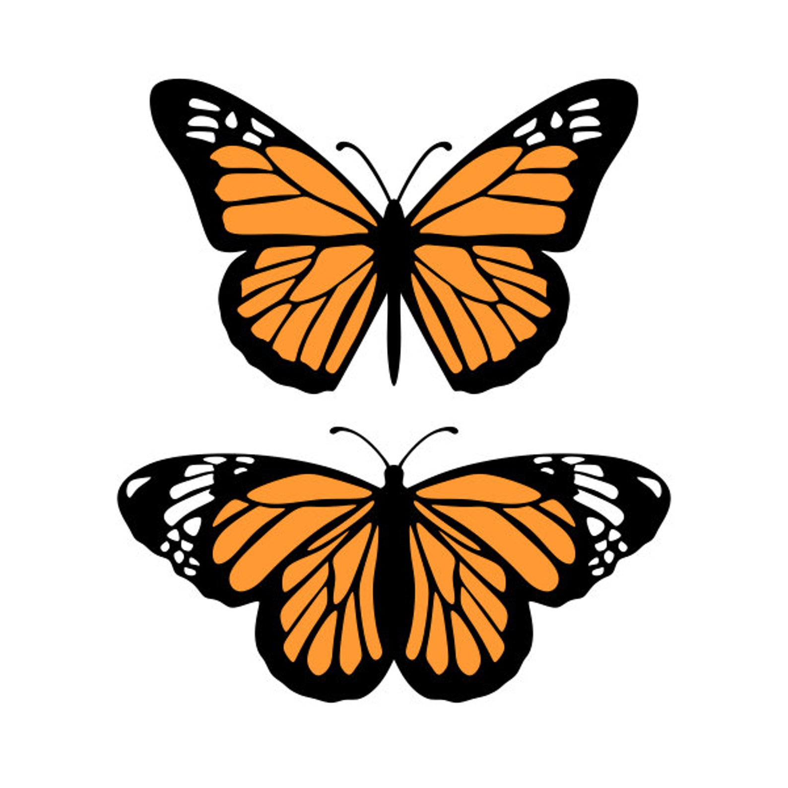 Monarch Butterfly Cuttable Design SVG PNG DXF & Eps Designs Cricut ...