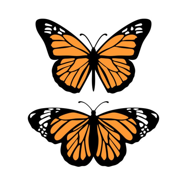 Monarch Butterfly Cuttable Design SVG PNG DXF & Eps Designs Cricut ...