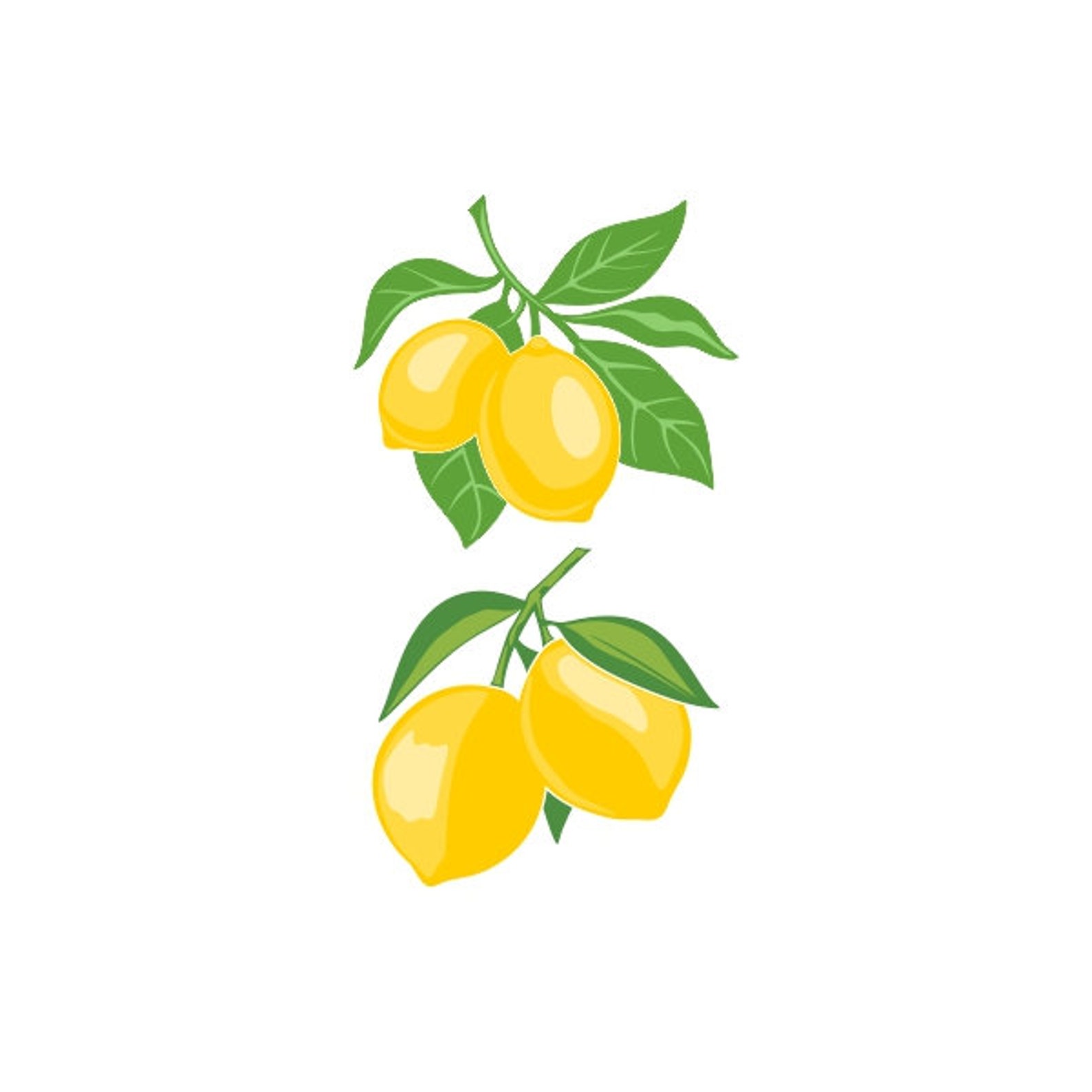 Fruit Lemons Branch Cuttable Design SVG PNG DXF & Eps Designs - Etsy