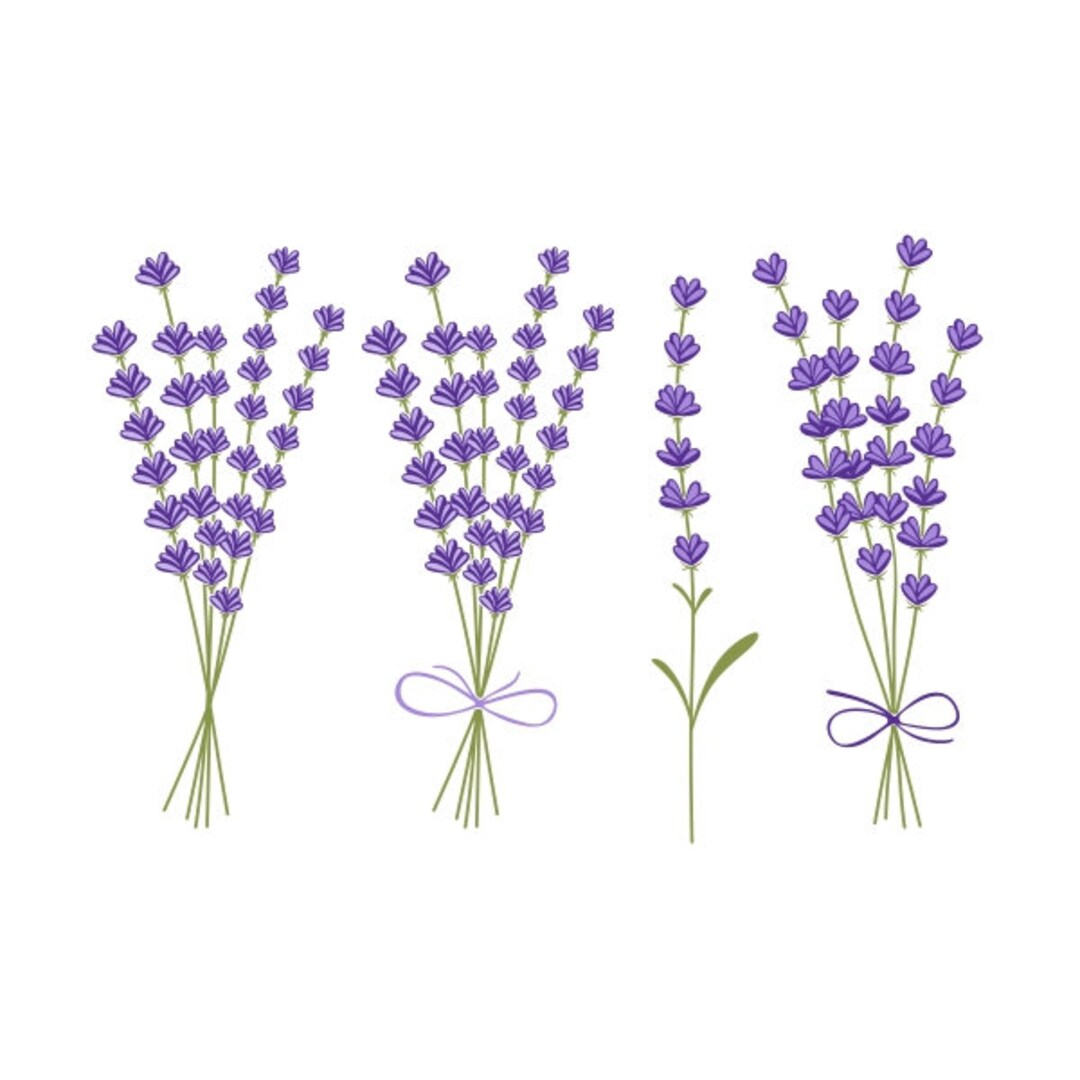 Lavender Flower Bouquet Cuttable Design SVG PNG DXF & Eps Designs ...