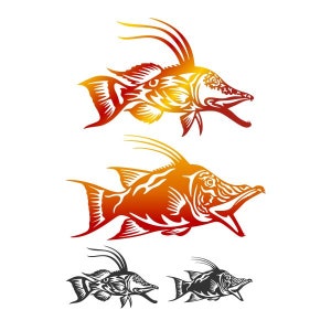Hogfish Svg - Etsy