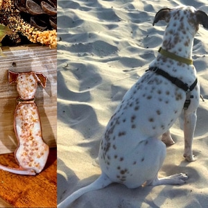 PET DOG CUSTOM Stained Glass Window Decor Sun Catcher ( Free Shipping ...