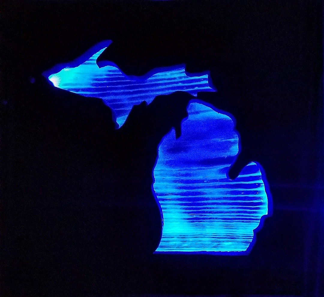 Michigan Shadow Box With Lights/any State Shadow Box - Etsy