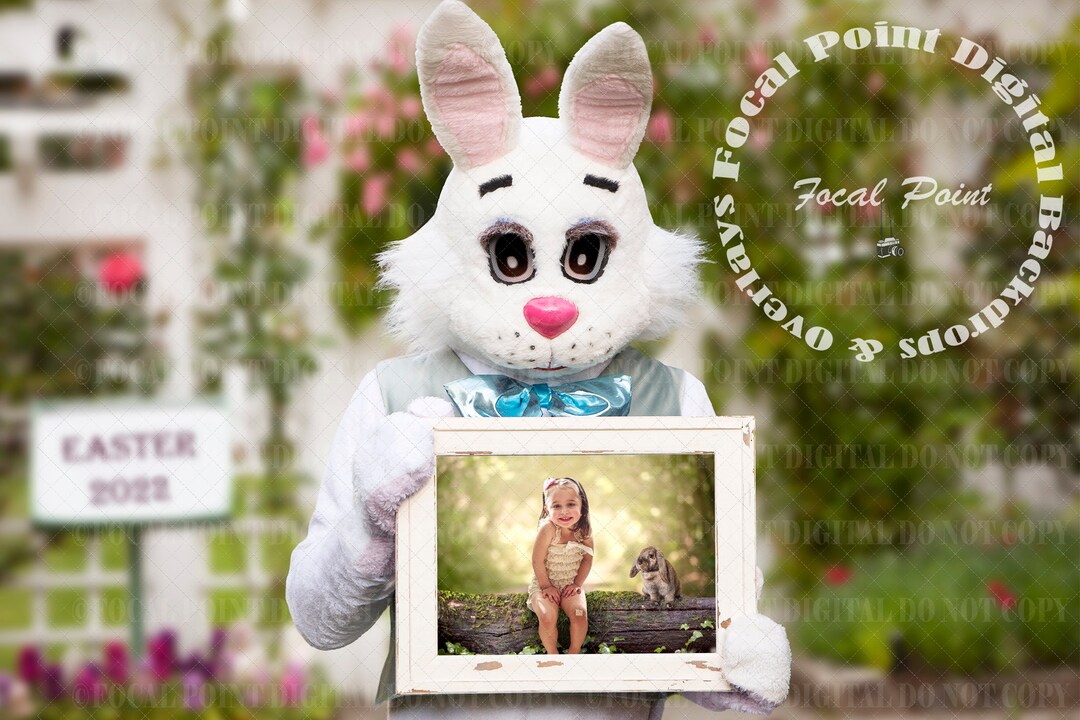 10-pack, Easter Bunny Holding Picture Frame, BUNDLE, Easter Digital ...