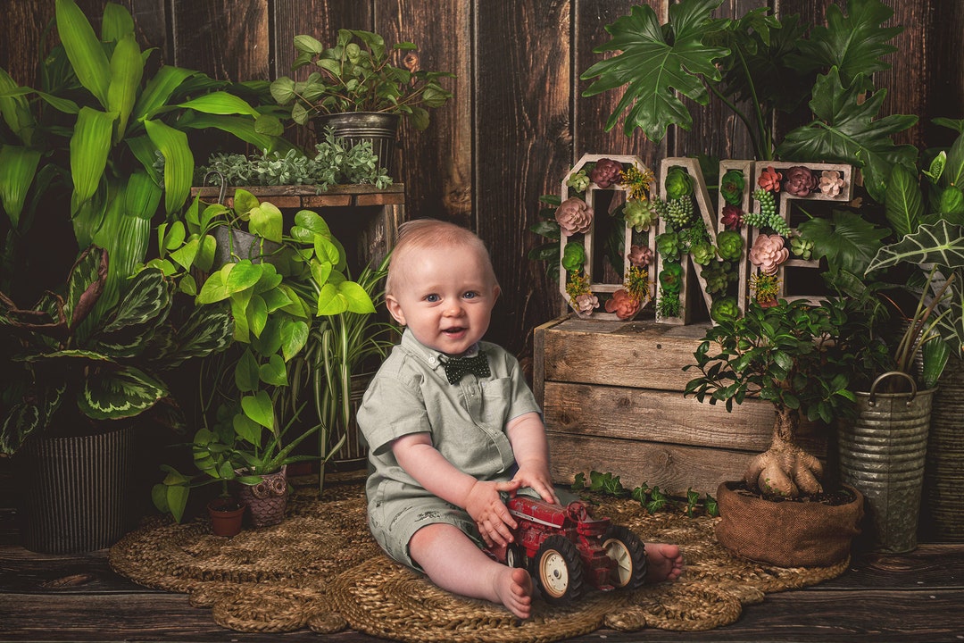 First Birthday Digital Backdrop One Year Birthday Digital - Etsy