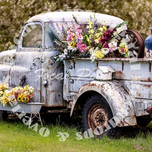 Spring Vintage Pickup Truck With Spring Blooms, Antique Pickup Truck ...