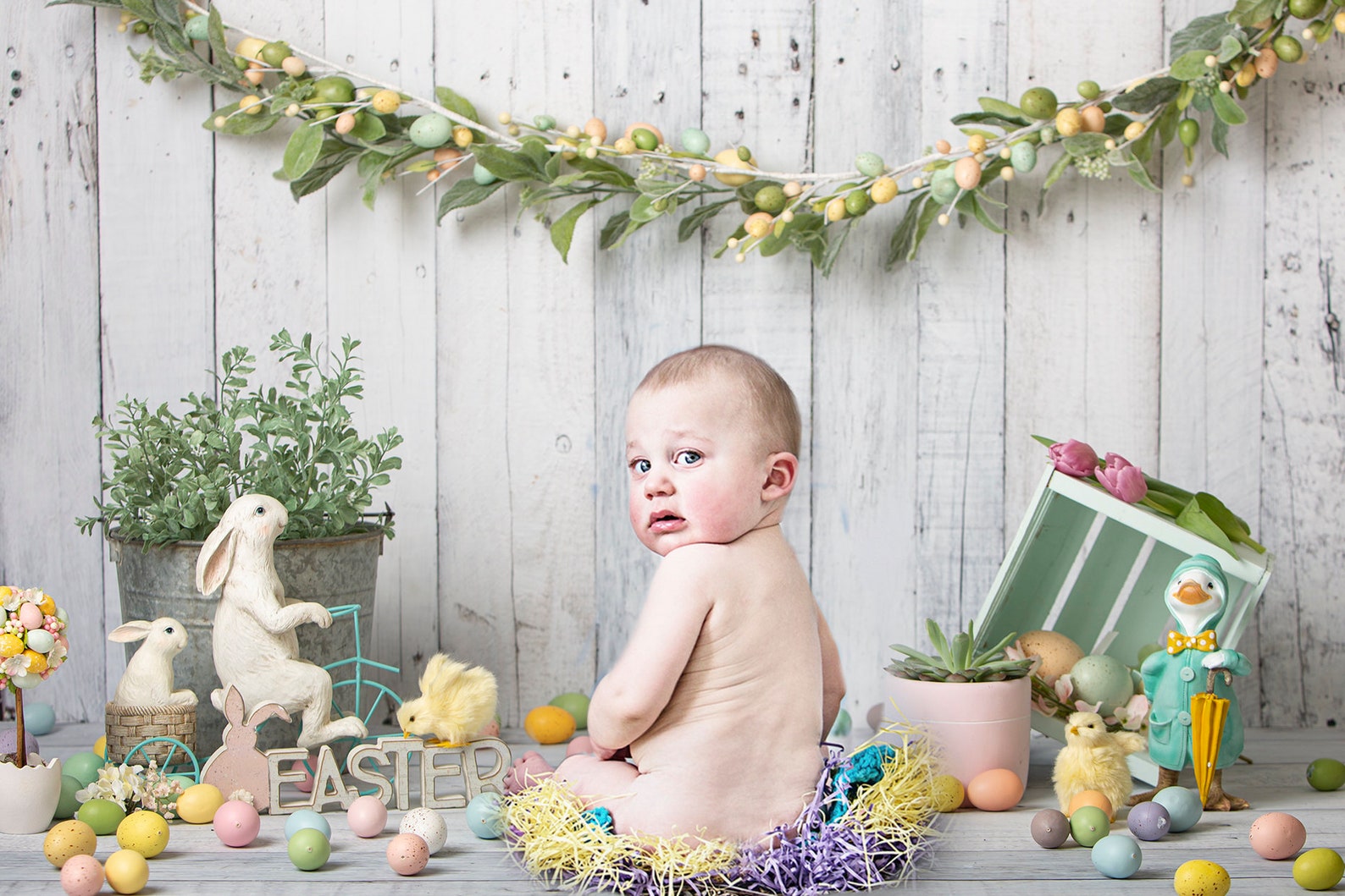 Easter Digital Backdrop Easter bunny Backdrop Easter | Etsy