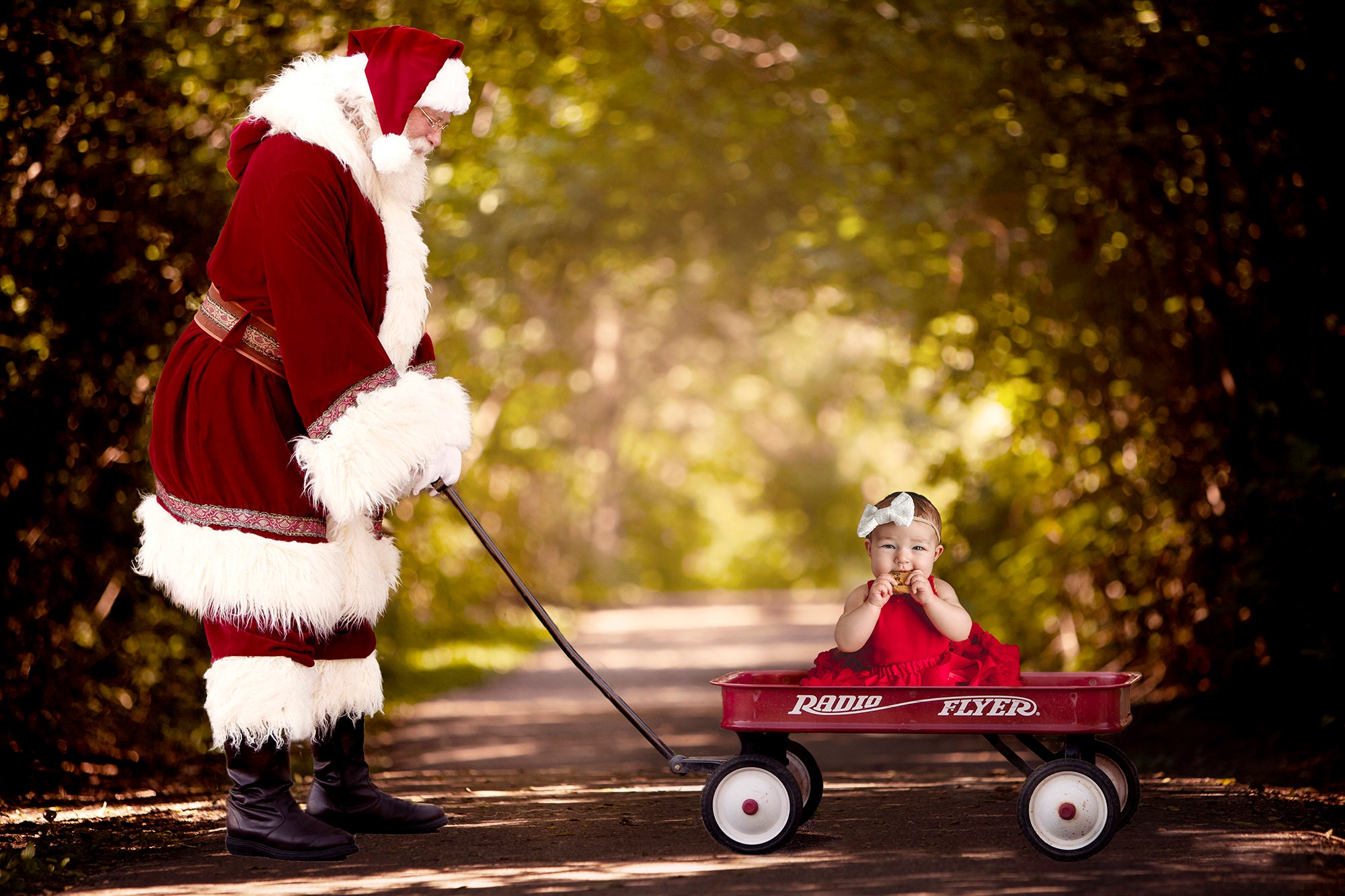 Santa with Wagon Sleigh digital backdrop Christmas Scene | Etsy