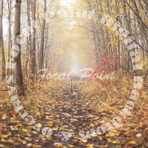 5 PACK Fall Path Forest Background Package, Outdoor Backdrops for ...