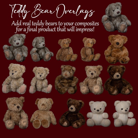 Teddy Bear Overlays. Christmas Teddy Bear Overlays Isolated on - Etsy UK