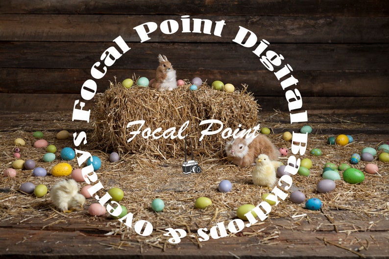 Easter Digital Backdrop Barn Backdrop Easter Eggs Baby - Etsy