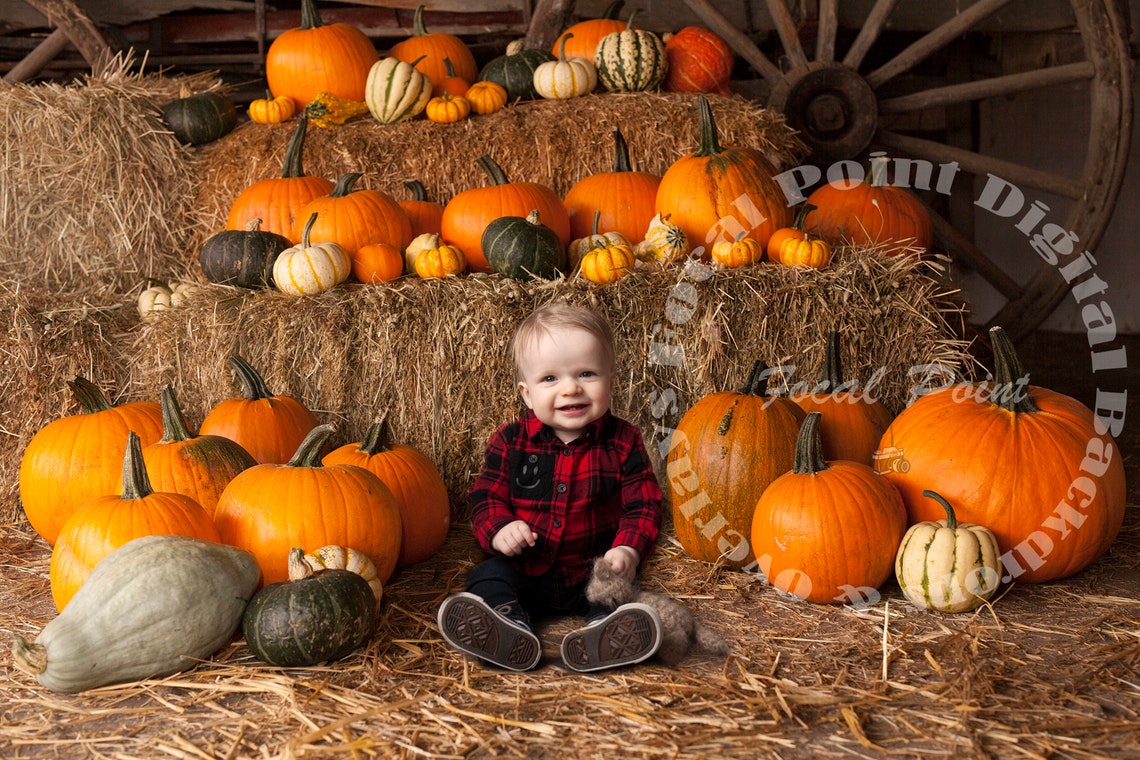 Halloween Pumpkin Patch Fall Background Outdoor Backdrops for - Etsy