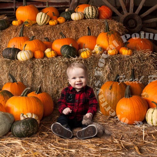 Fall Pumpkin Stand Digital Backdrop - Etsy