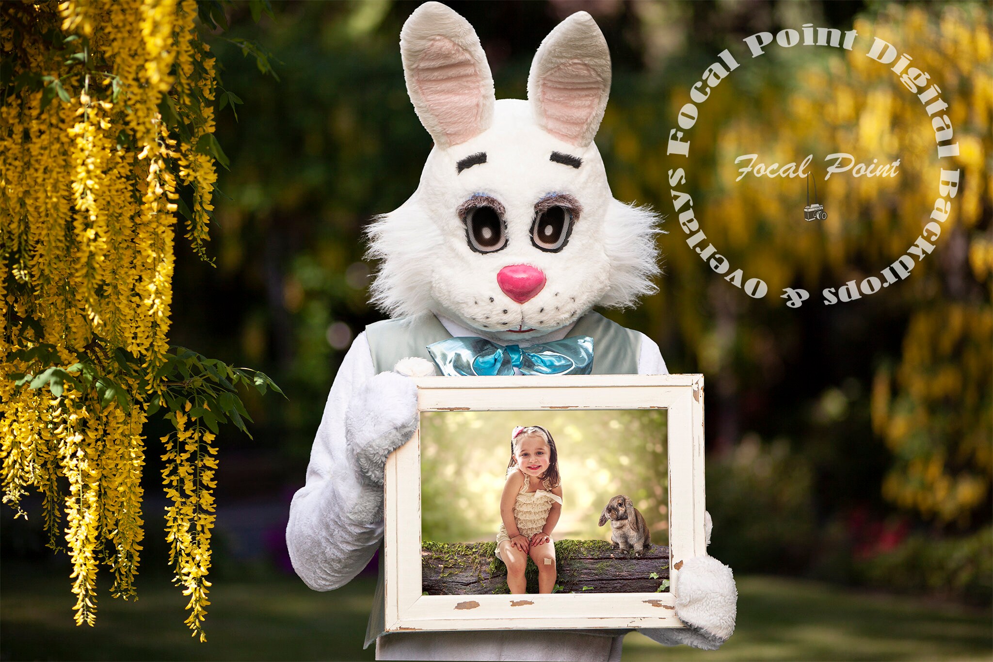 10-pack Easter Bunny Holding Picture Frame BUNDLE Easter | Etsy