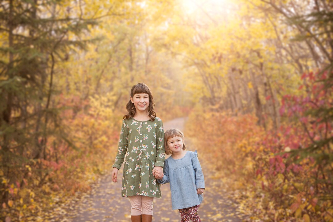 5 PACK Fall Path Forest Background Package, Outdoor Backdrops for ...