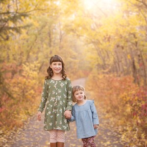 5 PACK Fall Path Forest Background Package, Outdoor Backdrops for ...