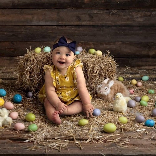 Easter Digital Backdrop Barn Backdrop Easter Eggs Baby - Etsy