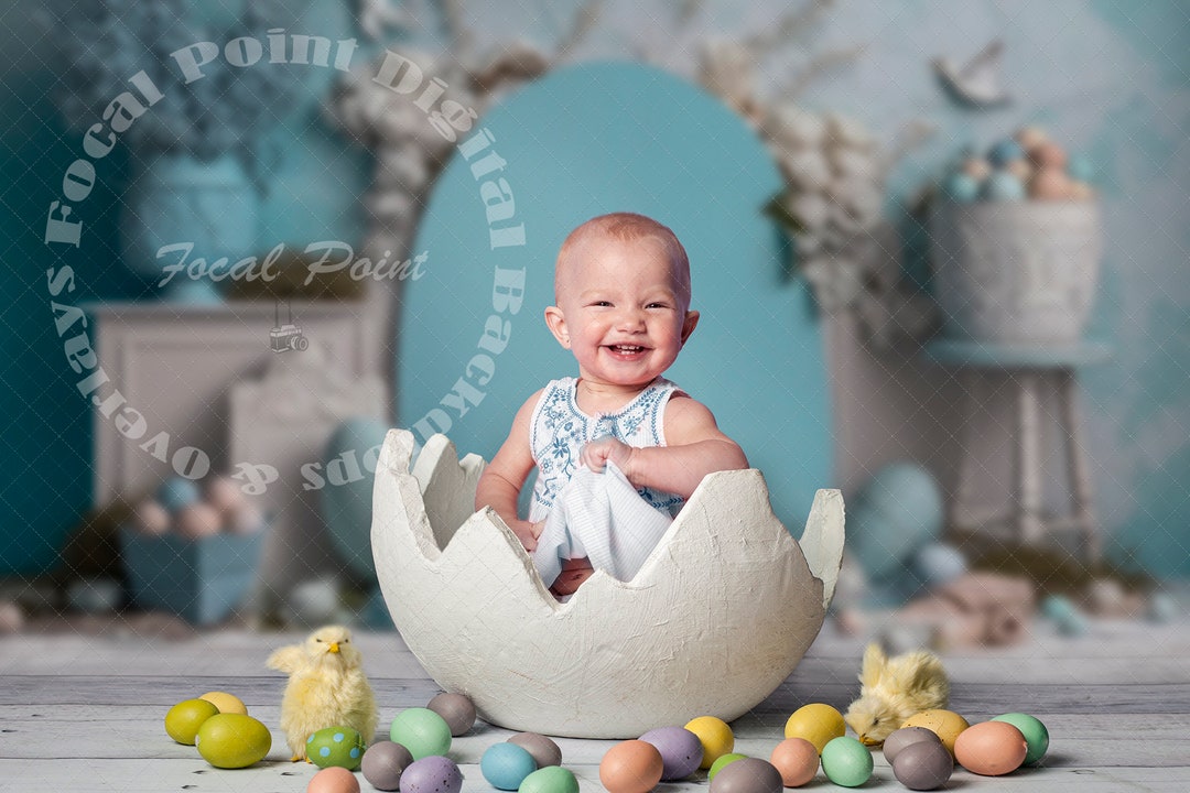 Easter Digital Backdrop, Easter Egg Digital Backdrop, Cracked Egg ...