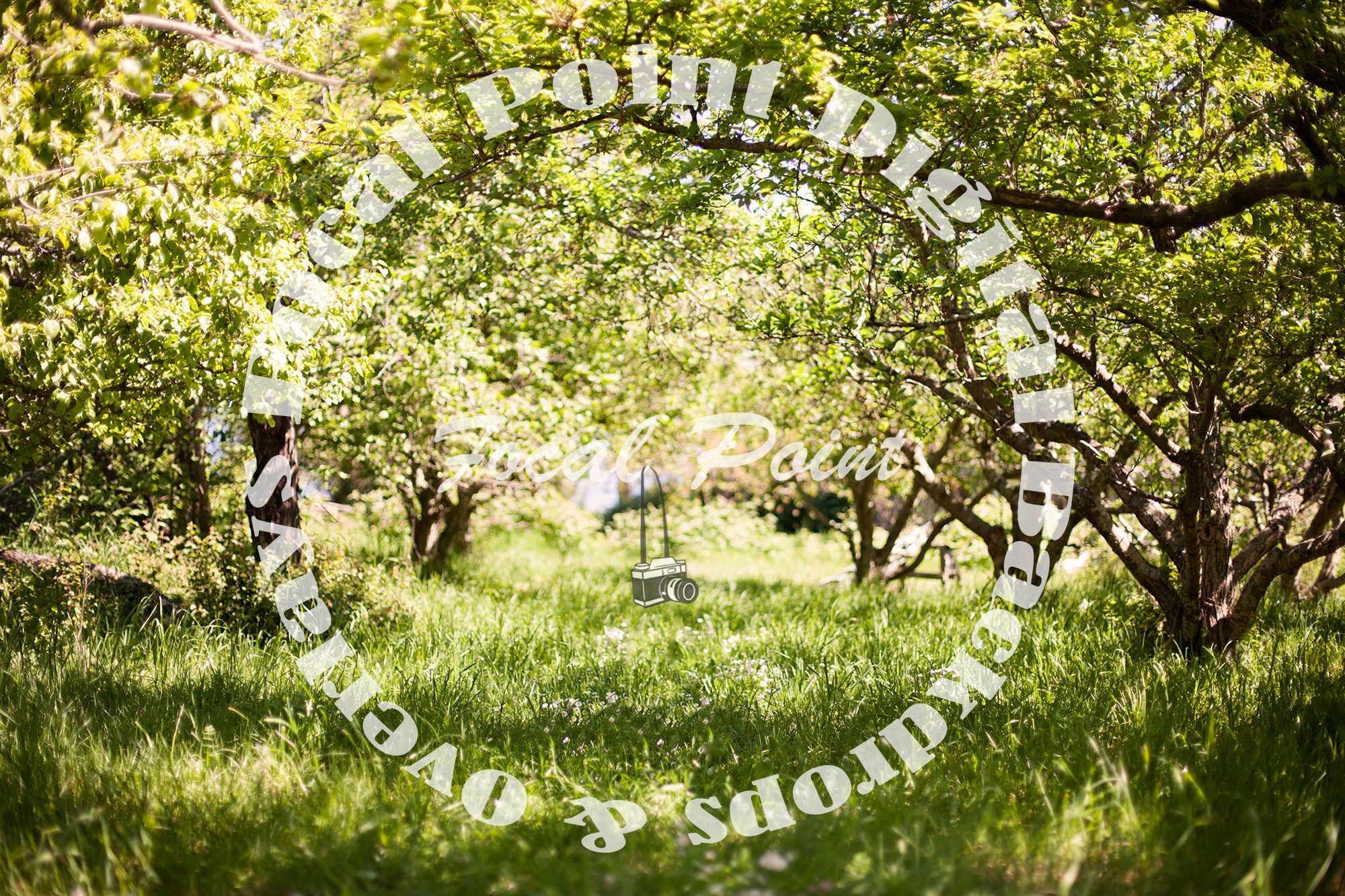 5 PACK Outdoor Orchard Background Package Outdoor Backdrops | Etsy