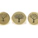 Tree of Life Ring · Tree Signet Ring · Spiritual Ring · Engraved Tree ...
