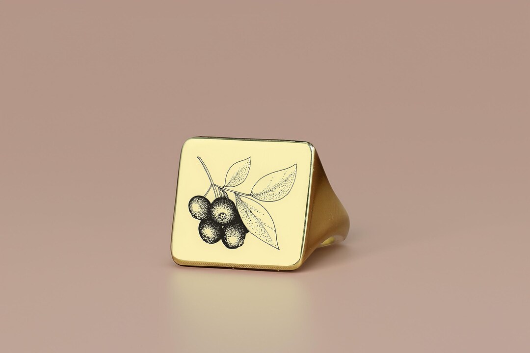Engraved Blueberry Ring · Custom Fruit Ring · 14k Gold Signet Ring ...