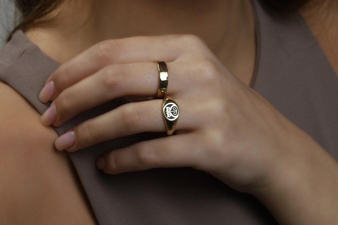 Engraved Cats Ring · 14k Gold Cats Signet Ring · Cat Lovers Ring · Animal Jewelry - Etsy