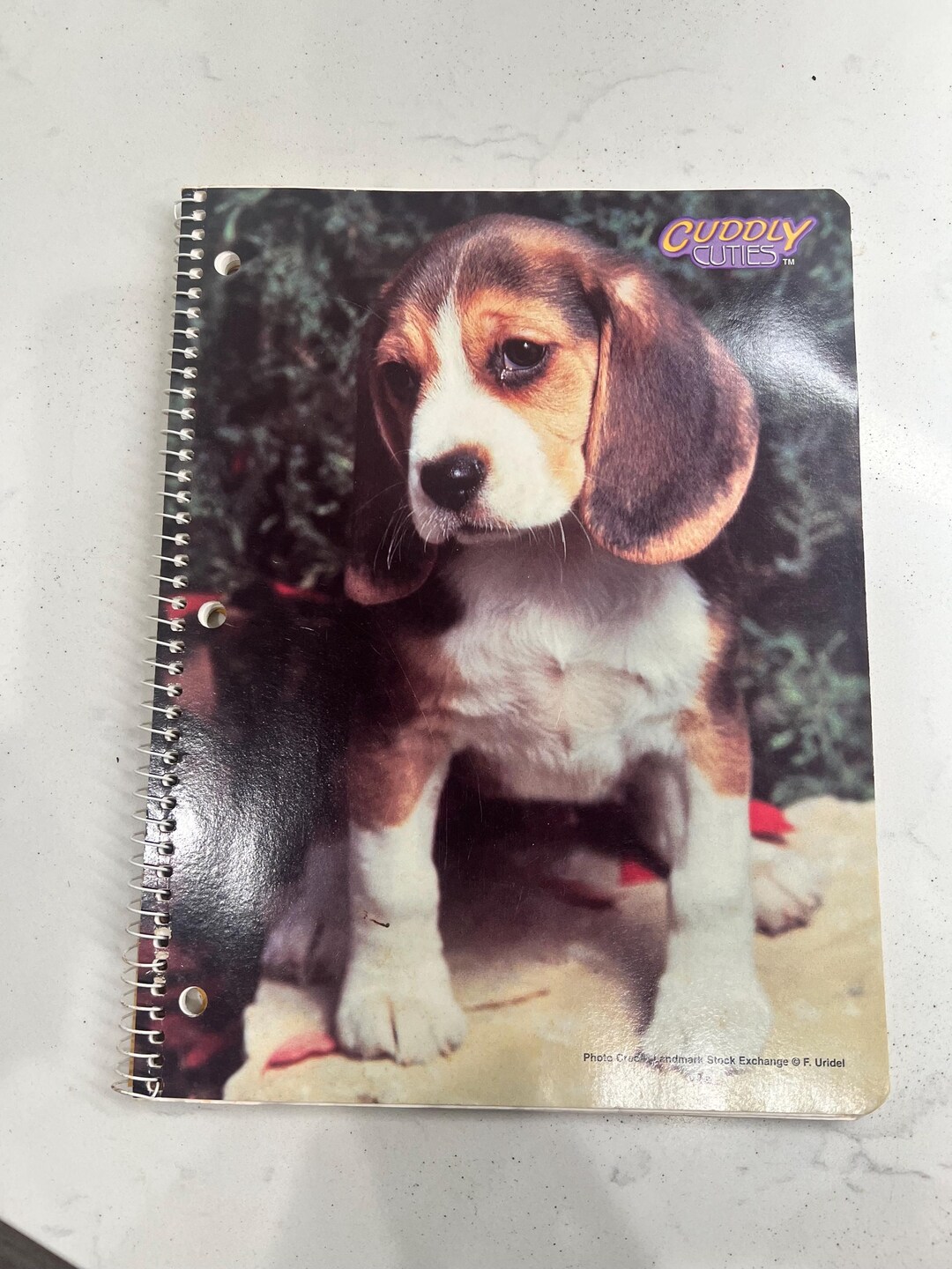 Vintage 1990 Cuddly Cuties Beagle Puppy Notebook by Plymouth, Inc. USA ...