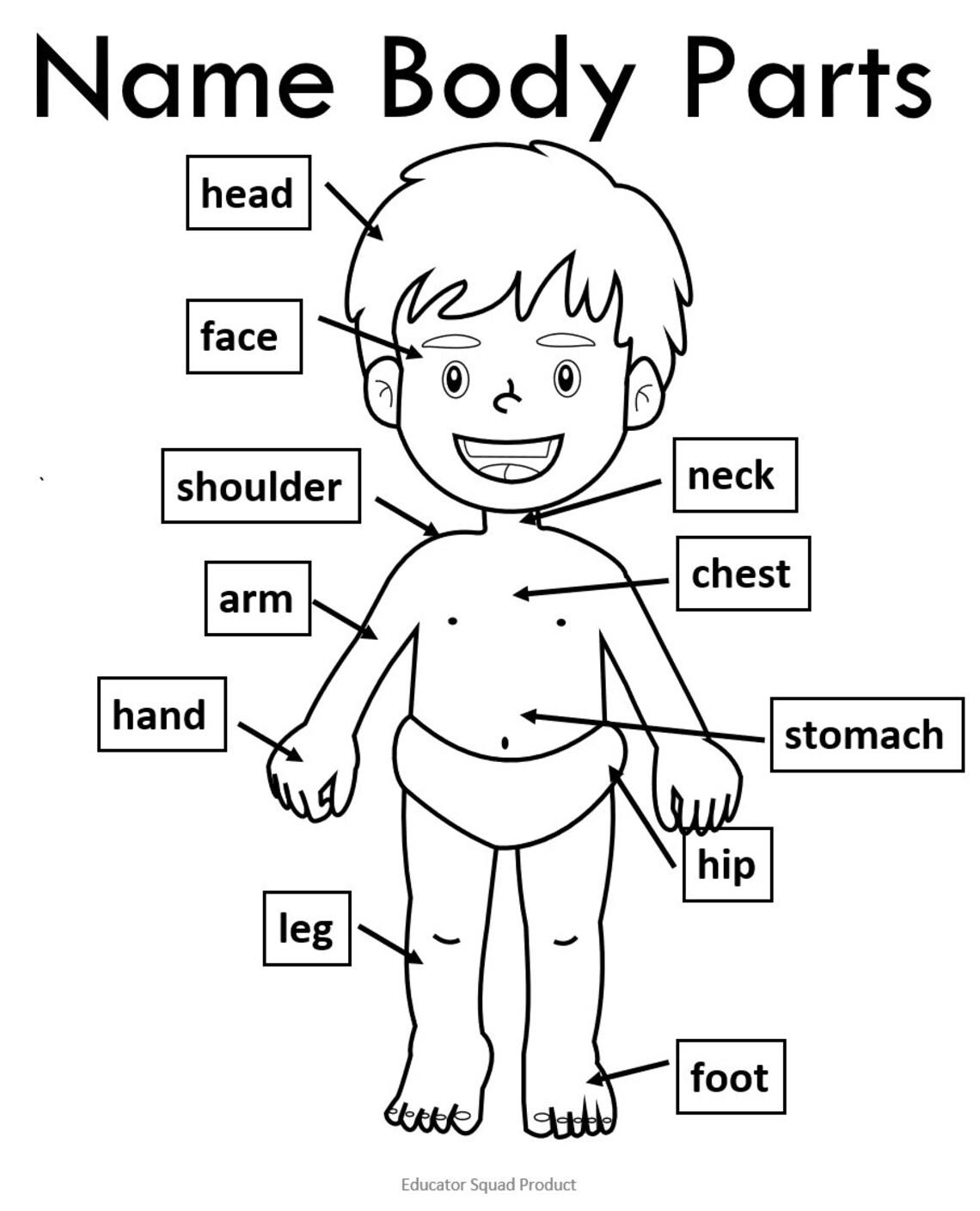 50 Human Body Anatomy Parts Worksheets Flashcards Charts - Etsy