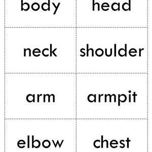 50 Human Body Anatomy Worksheets & Flashcards + Charts | Preschool to ...