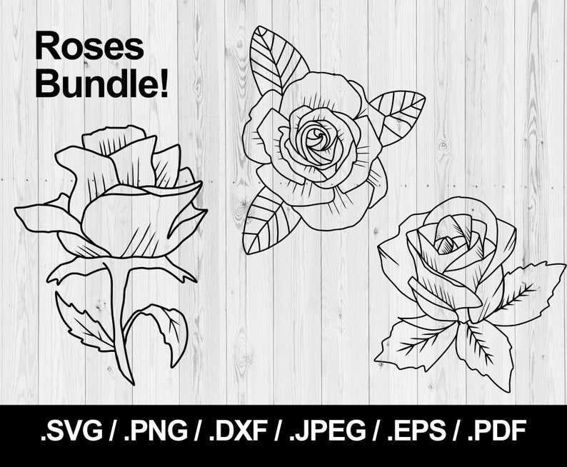 3 Roses SVG Bundle PNG JPEG Eps Ai Pdf and Dxf. Instant - Etsy