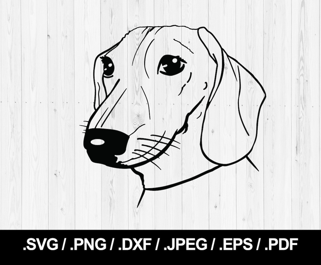 Realistic Wiener Dog SVG File, PNG, JPEG, Eps, Ai, Pdf and Dxf. Teckel ...