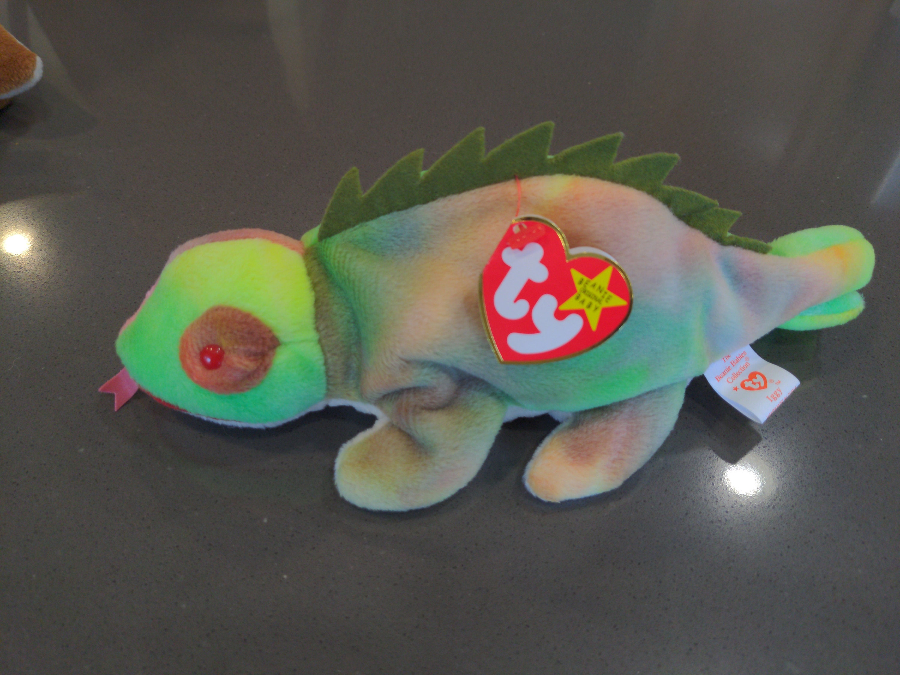 Ty "iggy" Beanie Baby! Extremely Rare Wrong Fabric Beanie Baby - Etsy