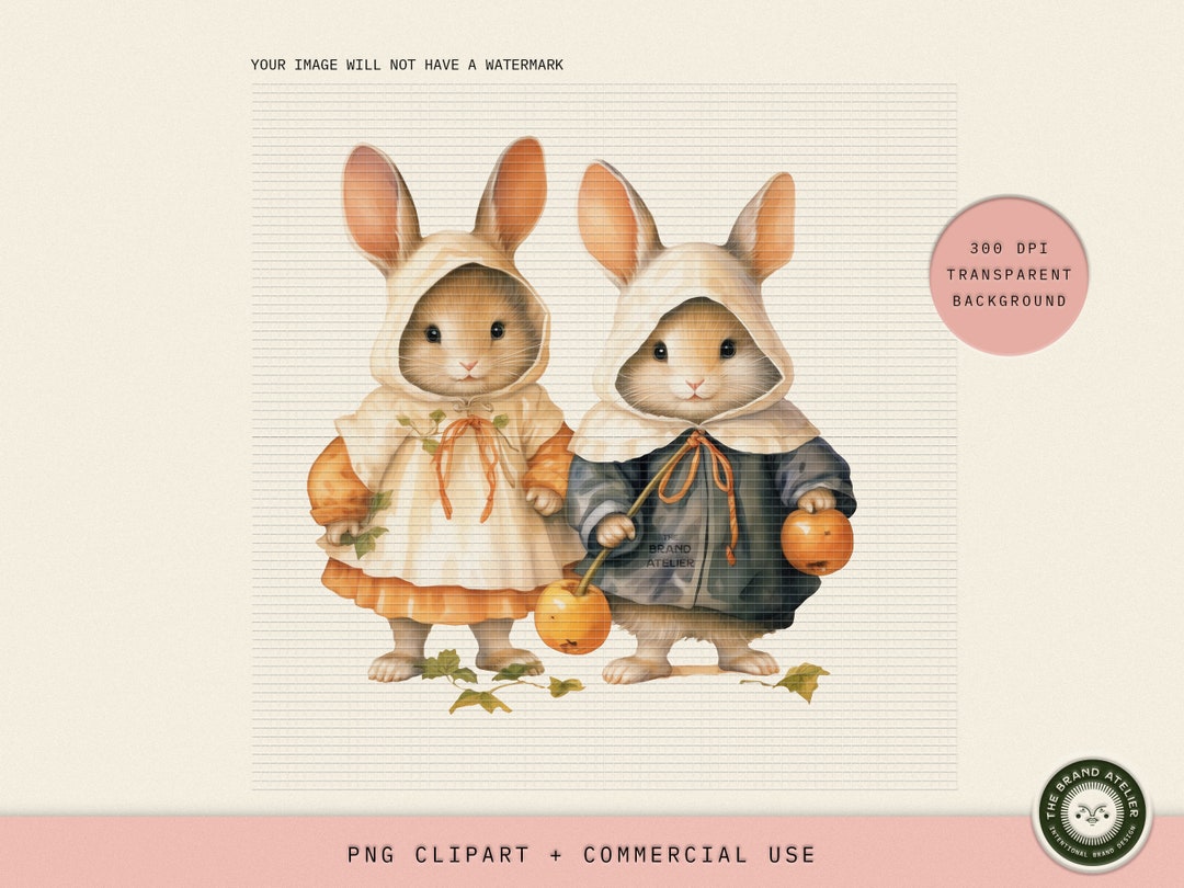 Watercolor Cute Chubby Bunnies Clipart Clipart PNG Instant - Etsy