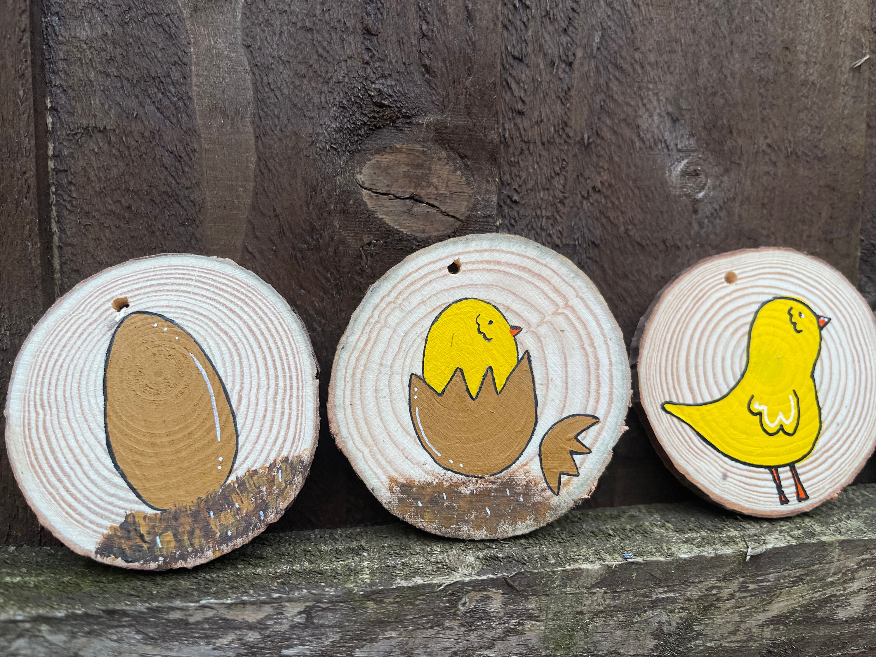 Life Cycle Resources for Hen Life Cycle EYFS Science Wooden Toys - Etsy