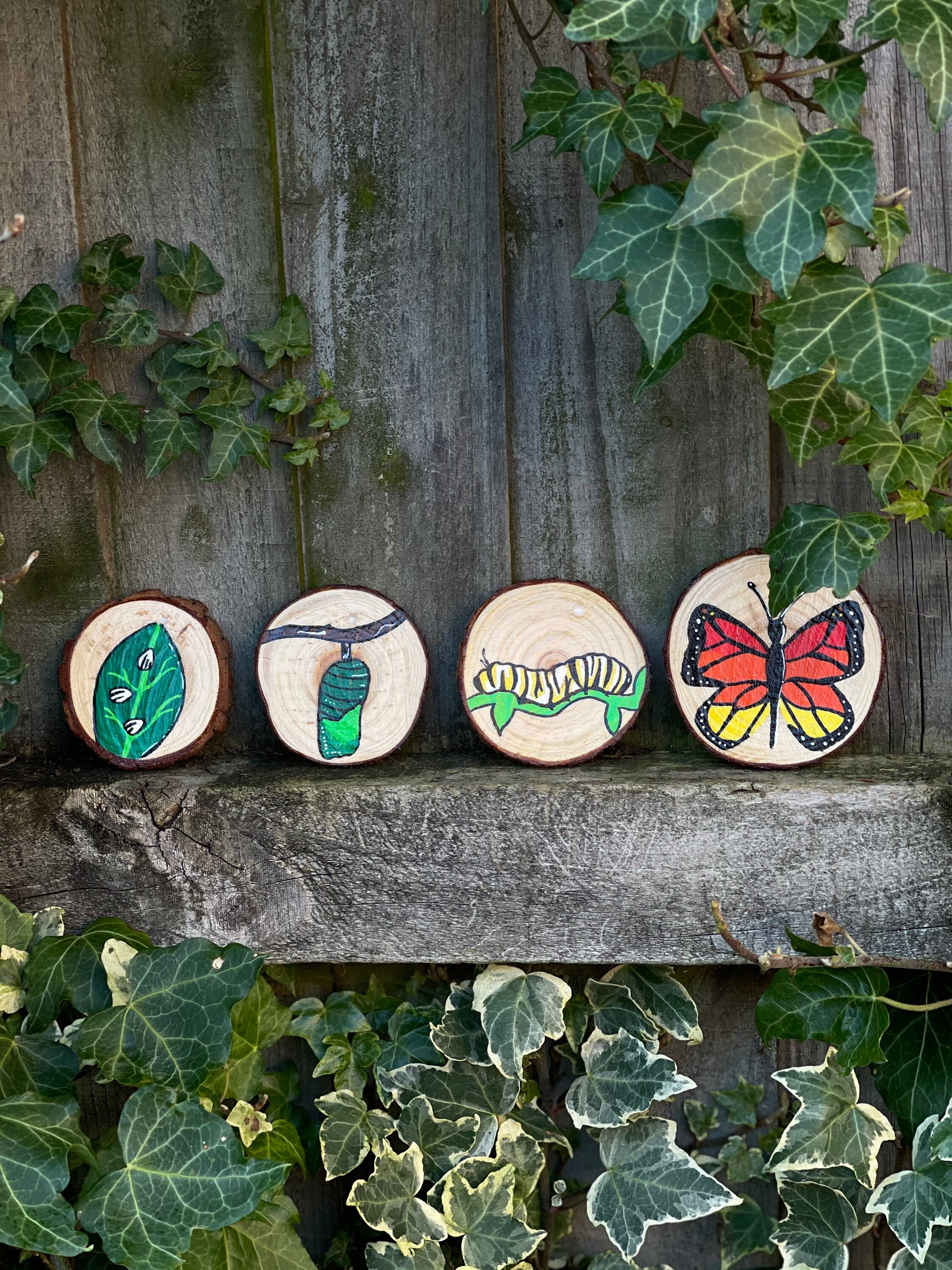 Life Cycles/ Butterfly Life Cycle/ Frog Life Cycle/ Hen Life - Etsy