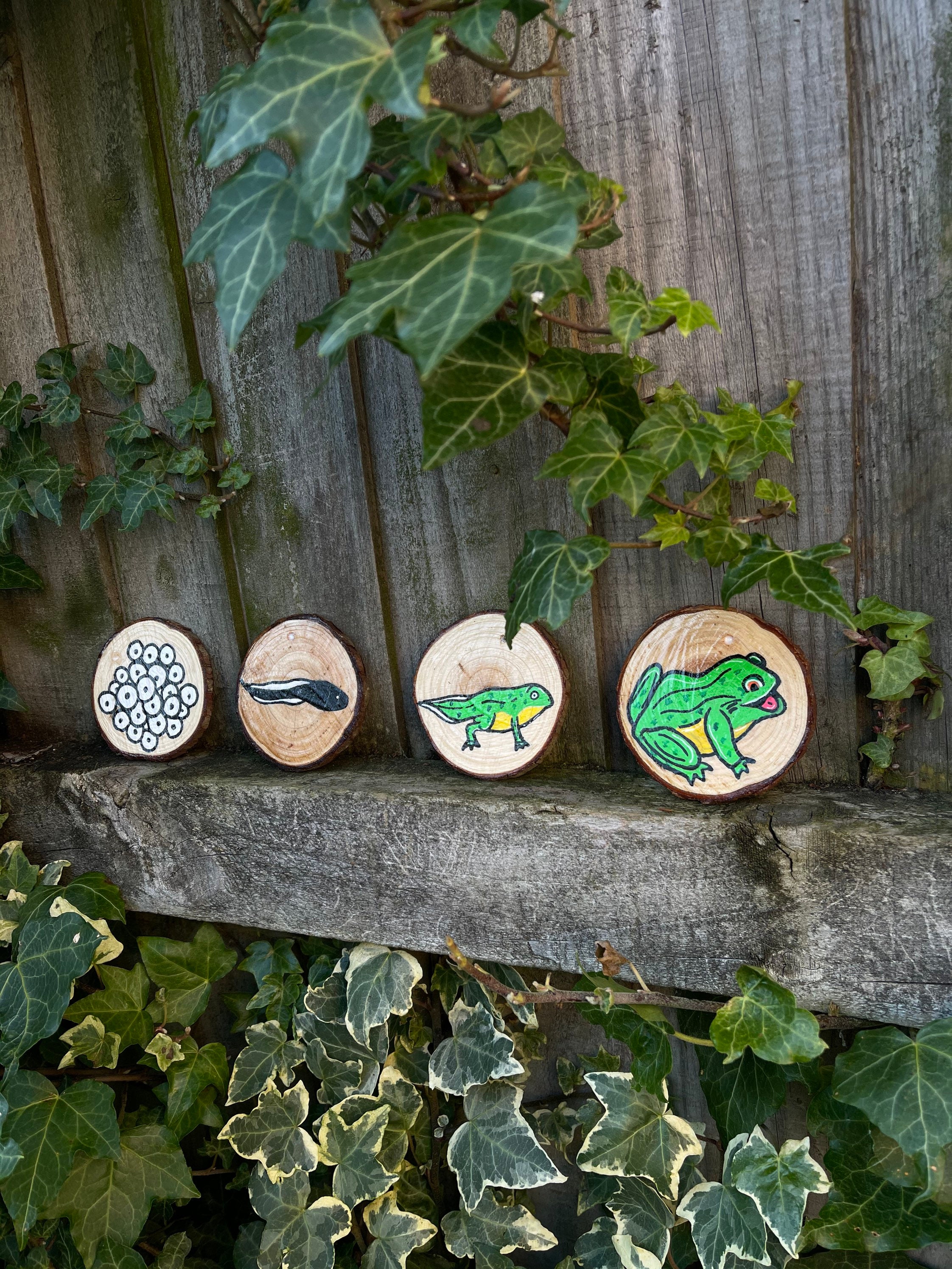 Life Cycles/ Butterfly Life Cycle/ Frog Life Cycle/ Hen Life - Etsy