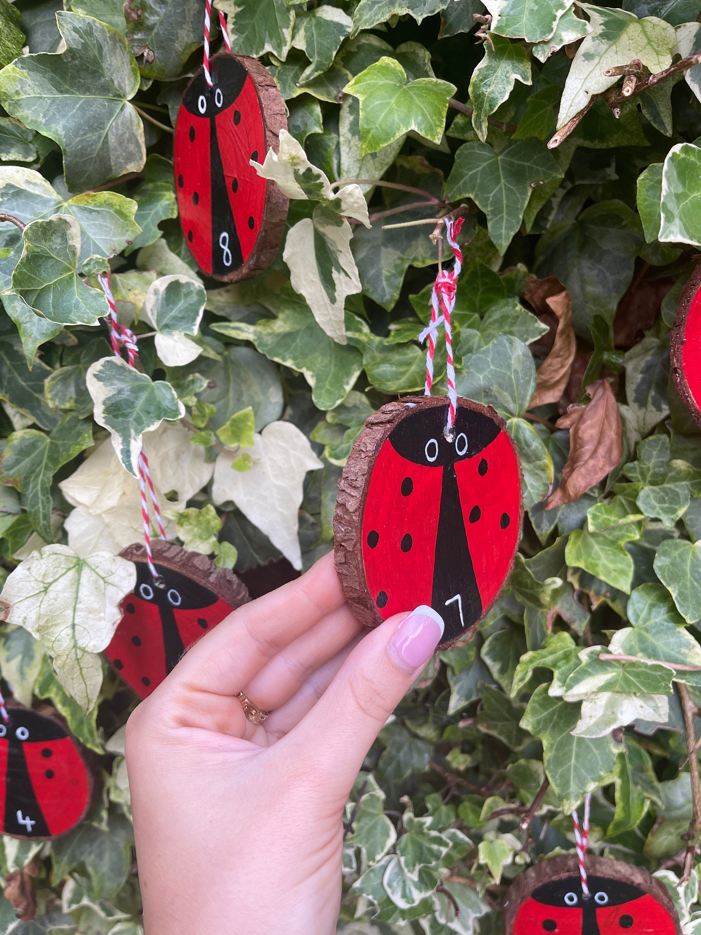 Ladybird counting stones story stones eyfs resources counting resources ...