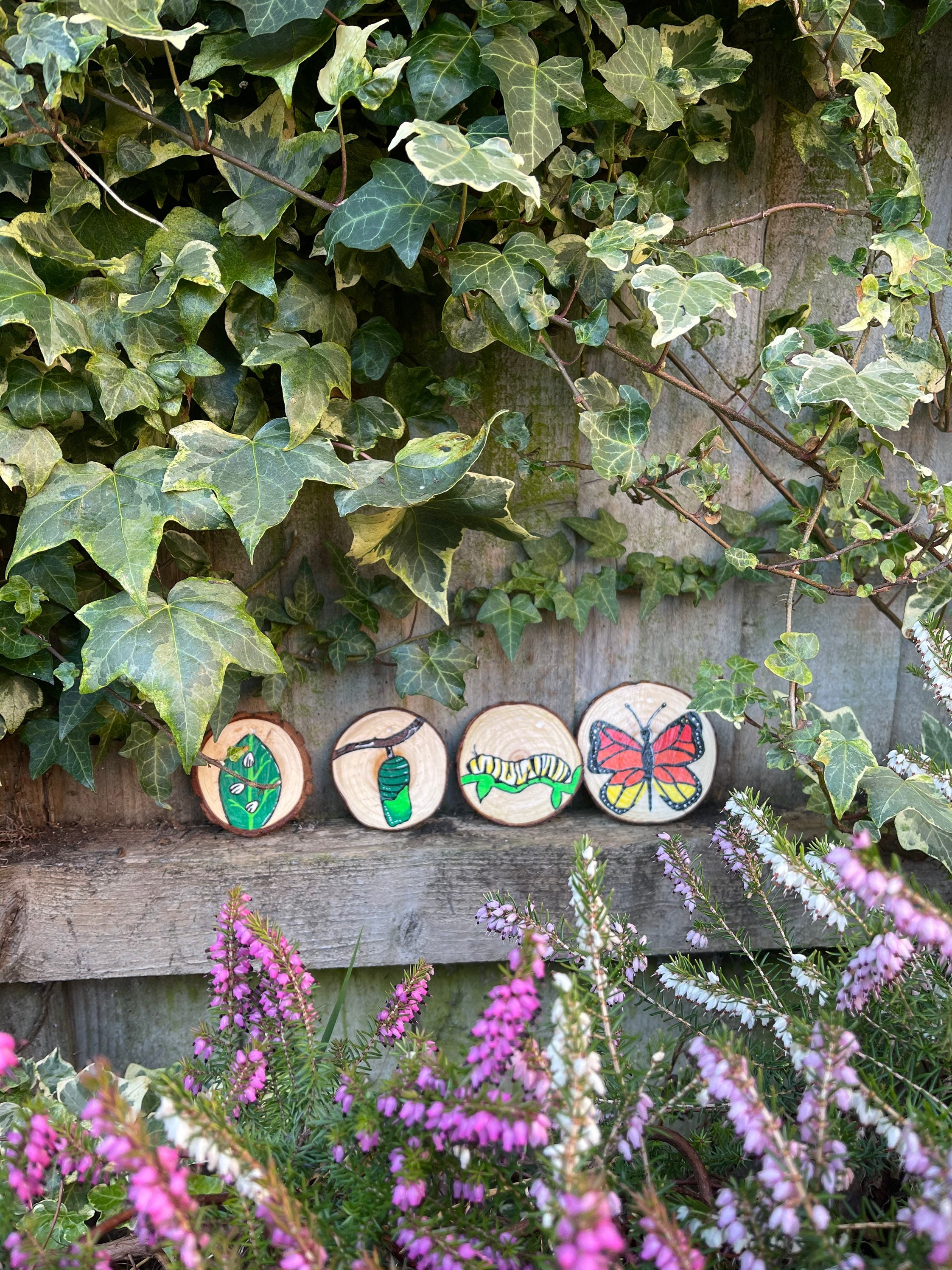 Life Cycles/ Butterfly Life Cycle/ Frog Life Cycle/ Hen Life - Etsy