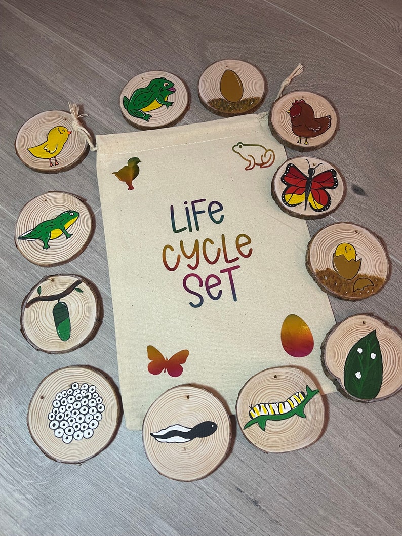 Life Cycle Resources for Hen Life Cycle EYFS Science Wooden Toys - Etsy