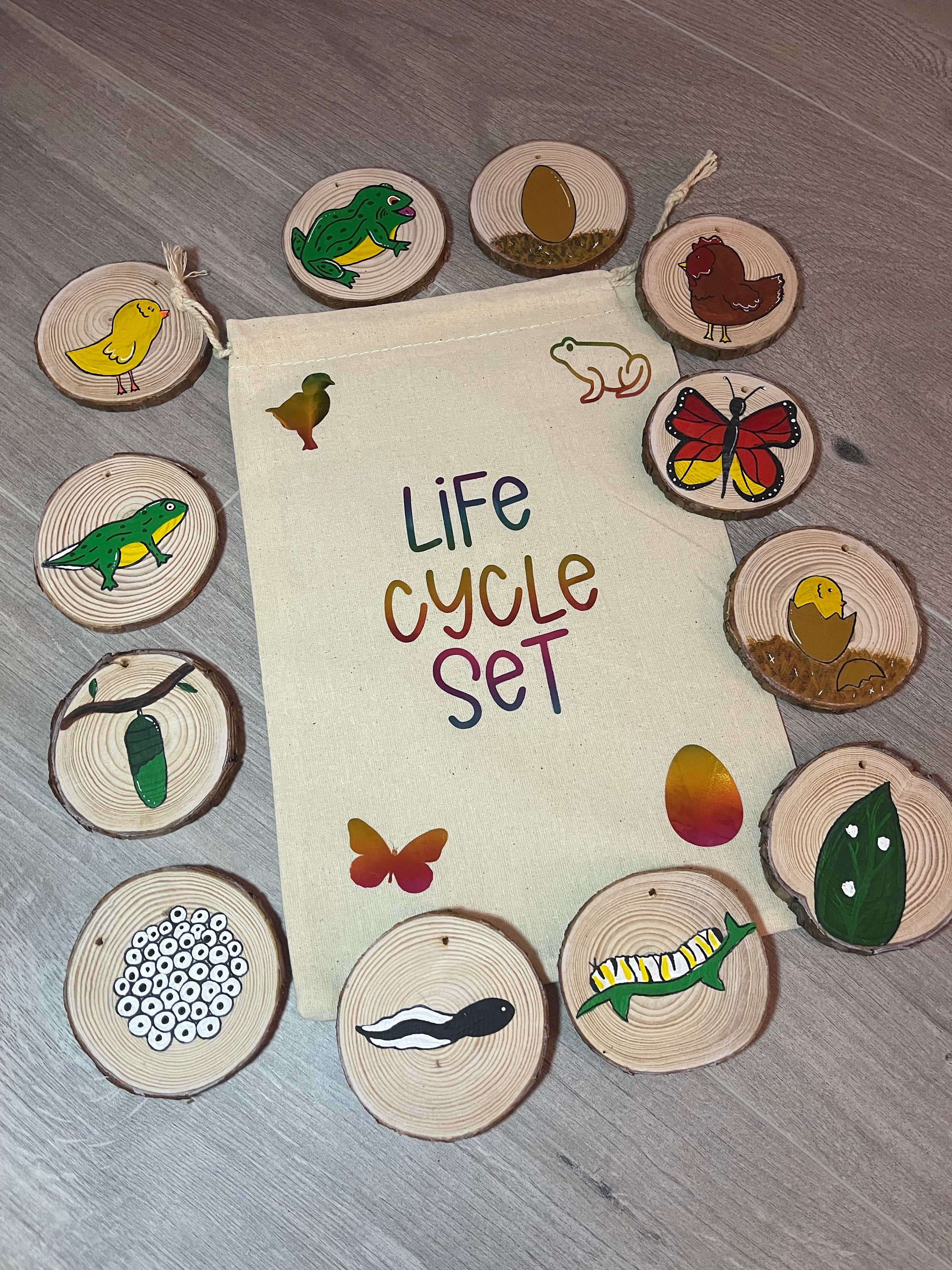 Life Cycle Resources for Hen Life Cycle EYFS Science Wooden Toys - Etsy