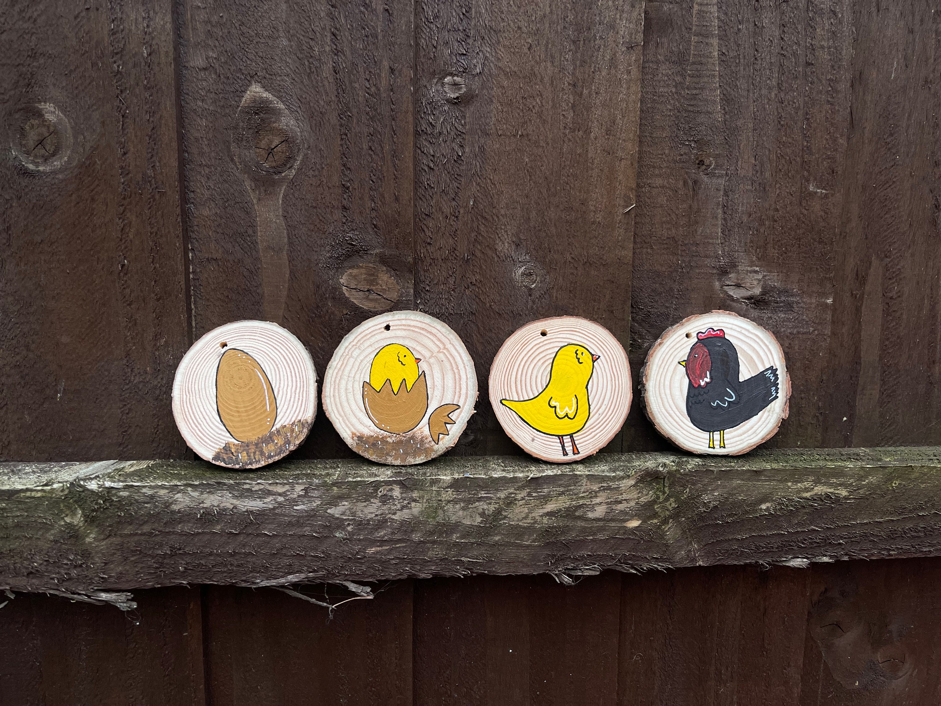 Life Cycle Resources for Hen Life Cycle EYFS Science Wooden Toys - Etsy