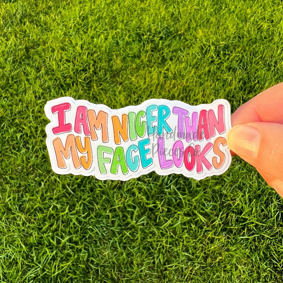 I Am Nicer Than My Face Looks Sticker, Snarky Sticker, Vinyl Sticker ...