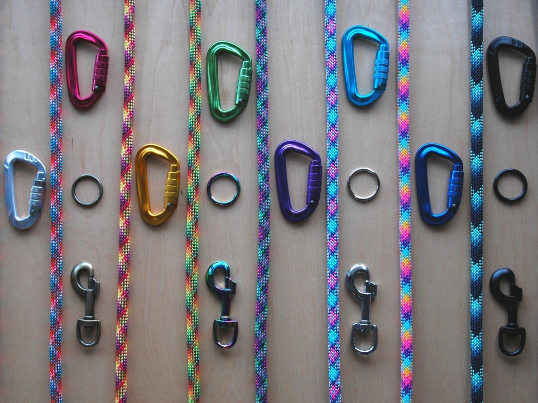 Design Your Own Dog Leash, Custom Pet Lead, Create Your Perfect ...
