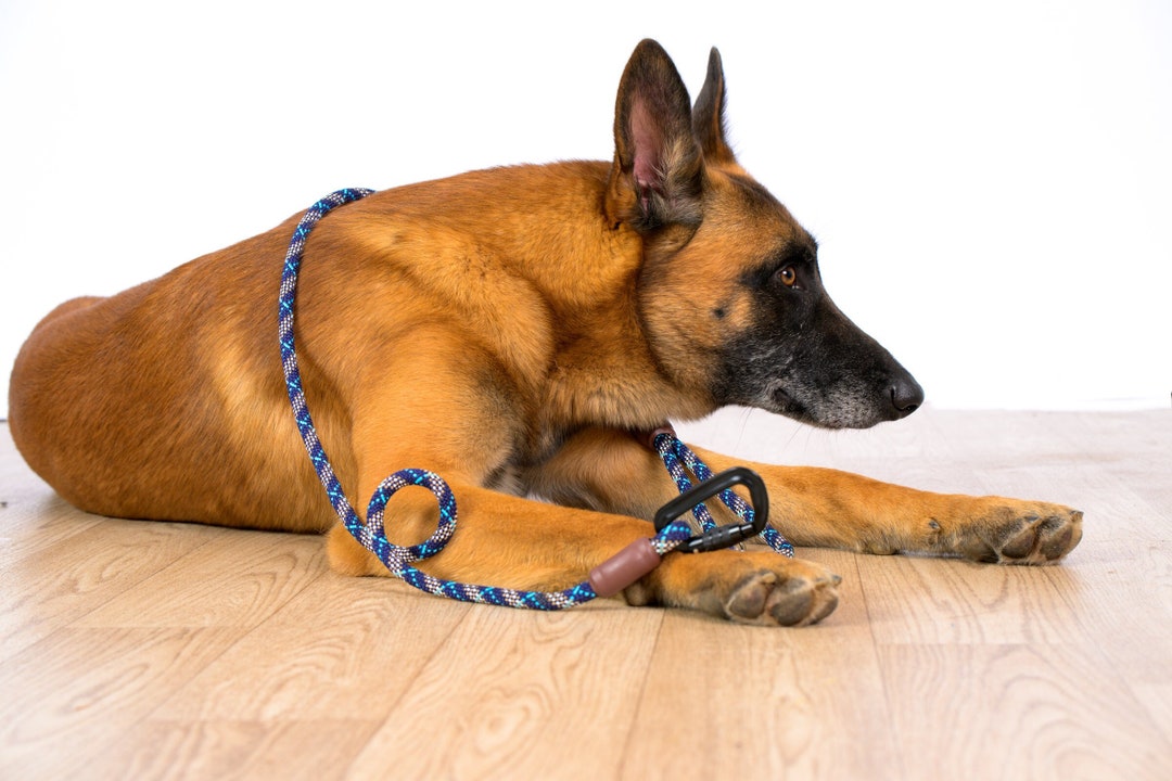 Custom Rope Dog Leash, Carabiner Pet Leash, Lightweight and Durable ...